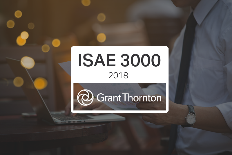 Nye rapporter: ISAE 3000 & 3402 type 2