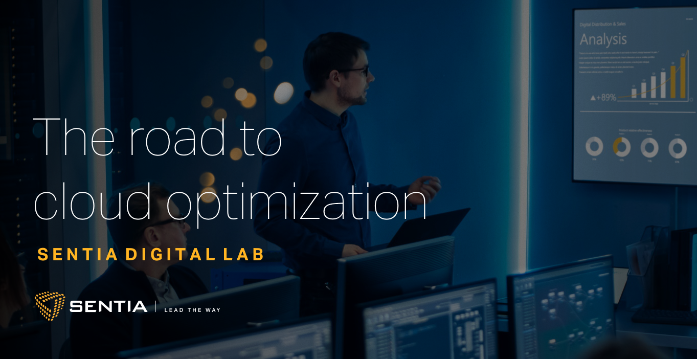 Future-proof your business with Sentia cloud optimization